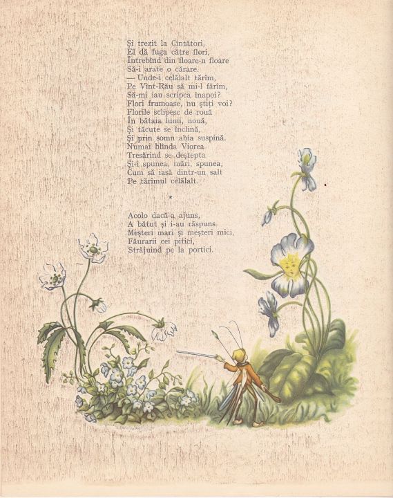 Pui de Greier Domnita Georgescu Moldoveanu (Ilustratii de V. Grescenco ...