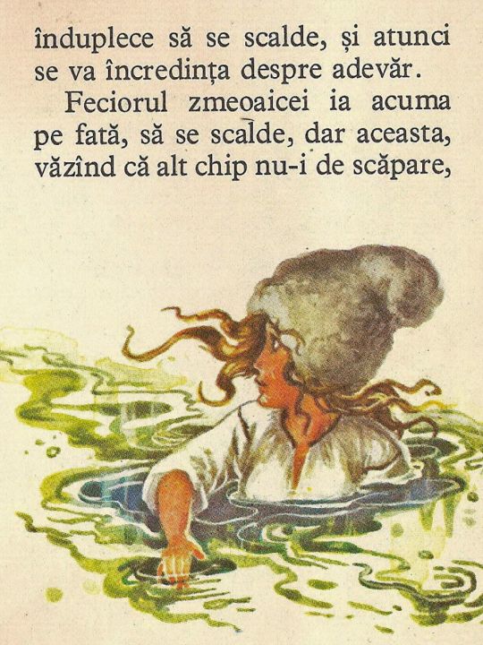 Randunica simion Florea Marian (Ilustratii de Coca Cretoiu Seinescu ...