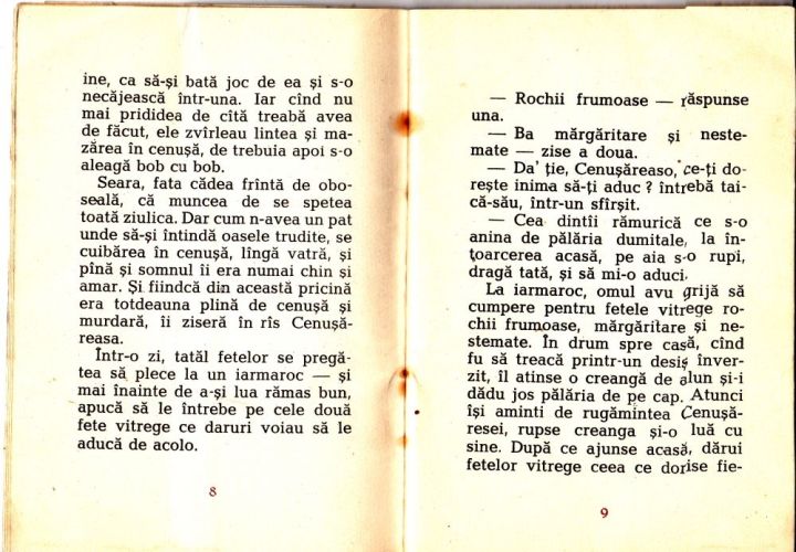 Cenusareasa Fratii Grimm (Colectia Traista cu Povesti) - PiqTale - www ...