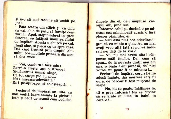 Cenusareasa Fratii Grimm (Colectia Traista cu Povesti) - PiqTale - www ...