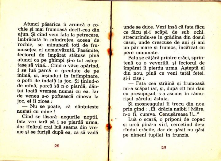 Cenusareasa Fratii Grimm (Colectia Traista cu Povesti) - PiqTale - www ...