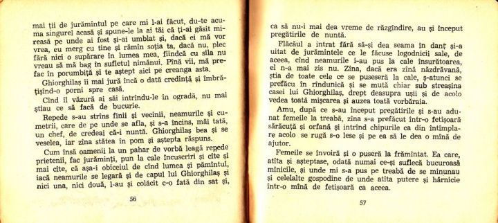 Norocel degetel al. Bardieru (Ilustratii de Francisc Kalab, 1978 ...